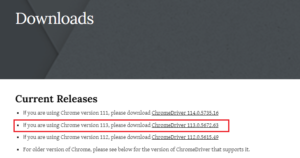 SeleniumでChromeとChromedriverのバージョンを確認・揃える方法 | prtn-blog