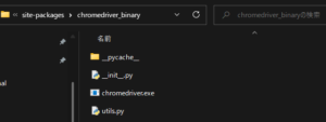 SeleniumでChromeとChromedriverのバージョンを確認・揃える方法 | prtn-blog