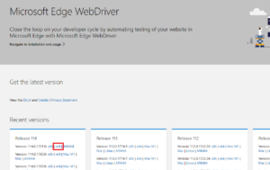 【初心者向け】PythonでSeleniumインストール手順【ブラウザ自動操作】 | prtn-blog